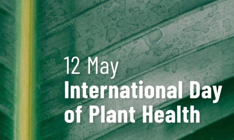 International Day of Plant Health: History, Theme, and Significance - Observer Voice