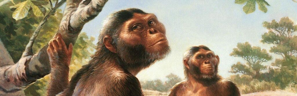 Ancient Hominin's Running Abilities Unveiled - Observer Voice