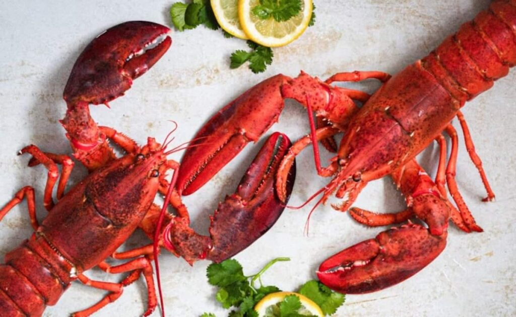 Outrage Over Lobster Bill Sparks Debate - Observer Voice