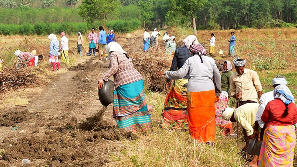 Wage Issues Under MGNREGS - Observer Voice