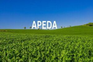 APEDA Highlights India’s Agricultural and Food Export Capabilities at World Food India 2025 ...