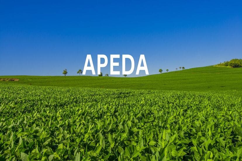 APEDA Highlights India’s Agricultural and Food Export Capabilities at ...