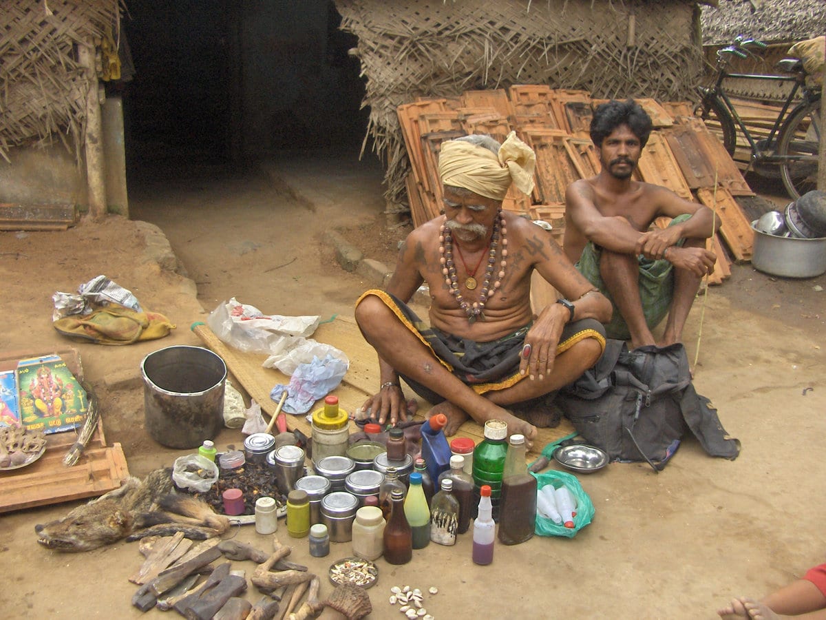 Integration of Traditional Indian Healing Practices with Modern ...