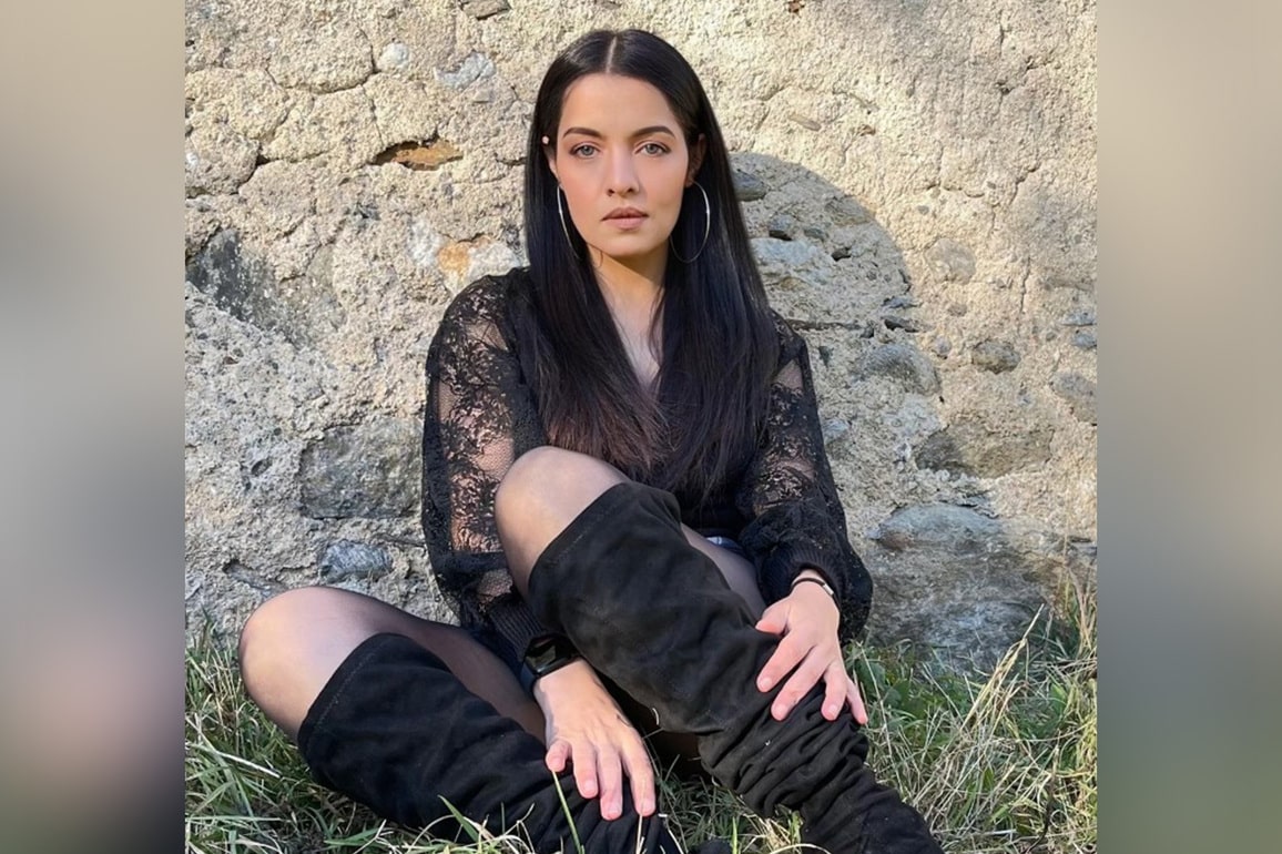 Delhi High Court Steps In: Celina Jaitly's Brother Detained in UAE - Observer Voice