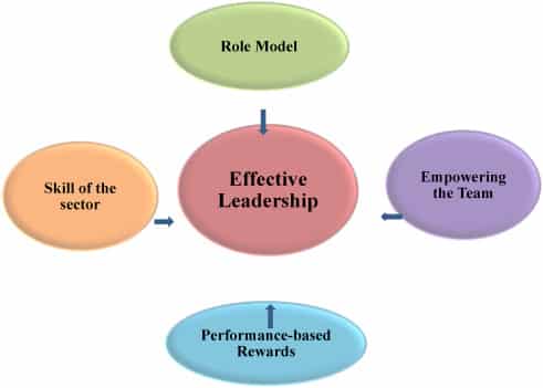 Exploring Co-Leadership Models in Response to Business Complexities ...
