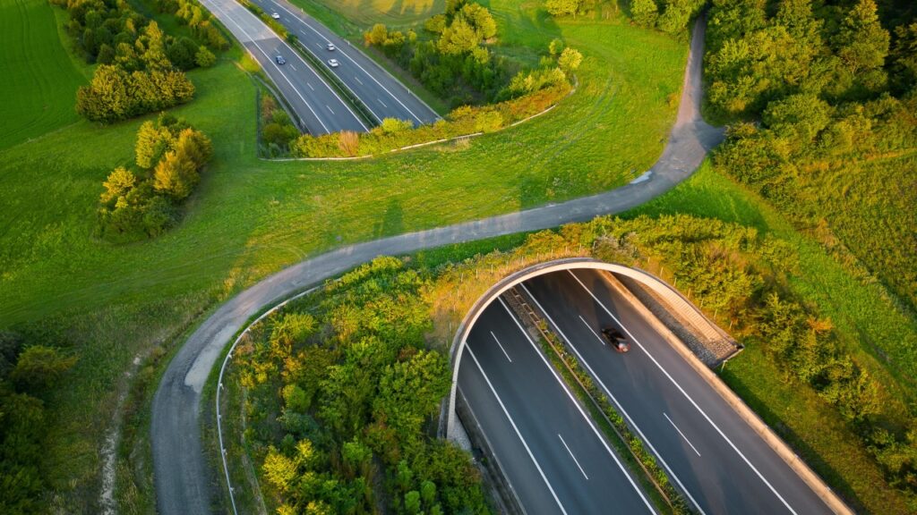 Innovative Highway Initiative Balances Safety and Wildlife Protection ...