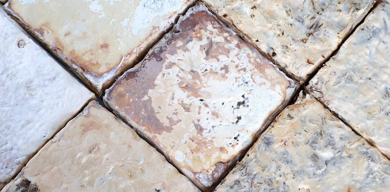 We think of mushrooms as food. But mycelium-based blocks could be the ...
