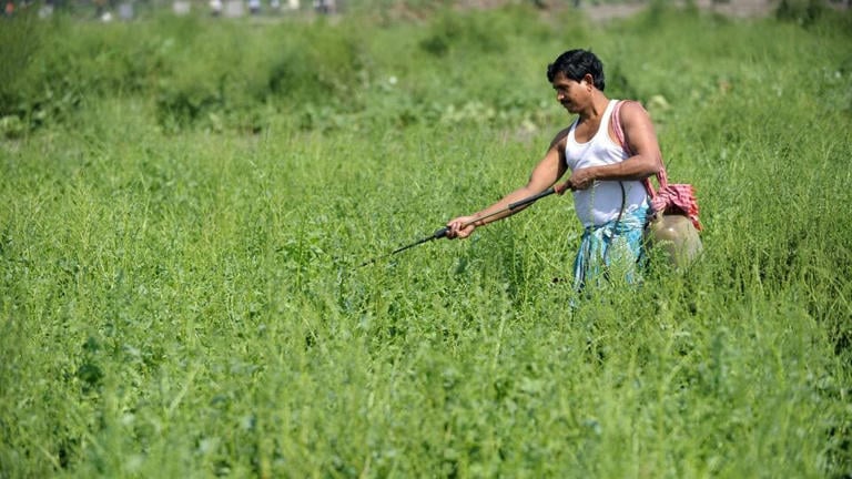 Budget 2026: A Chance to Enhance India's Agricultural Crop Protection ...
