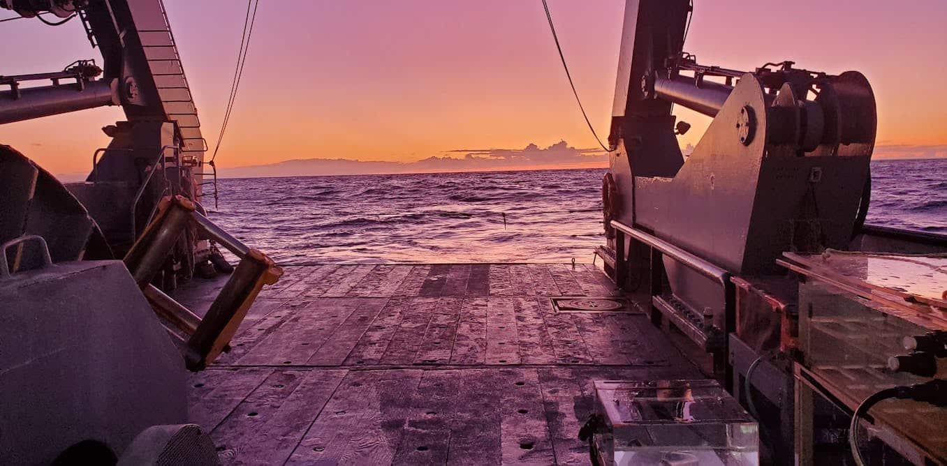 In the ocean, some help fuel the food web – a new study shows how ...