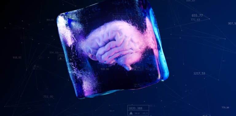 Meth inflames and stimulates your brain through similar pathways – new ...