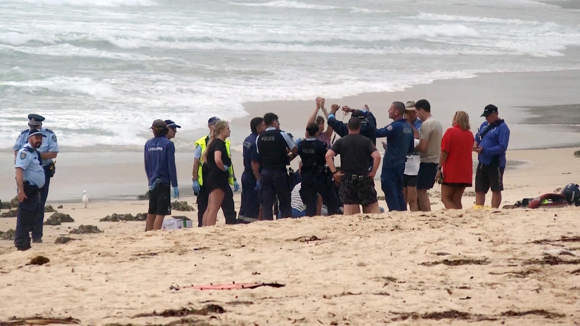 Shark Attacks in Sydney Leave Two People Seriously Injured - Observer Voice