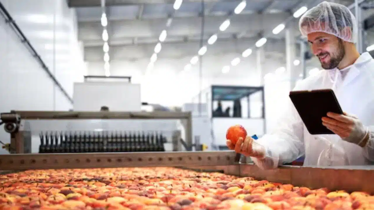 Government Boosts Food Processing Sector with Innovative Schemes ...