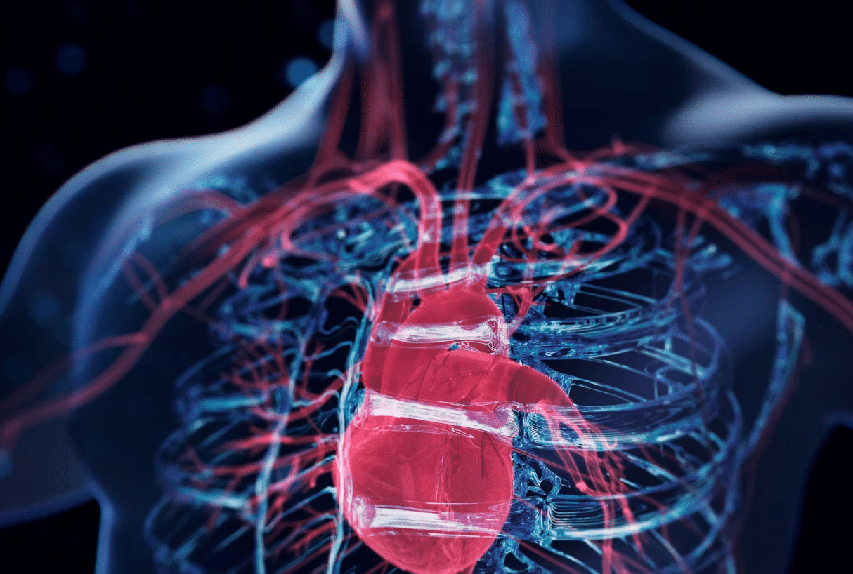 Targeting Immune Cells: New Hope for Heart Failure