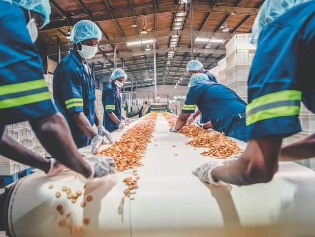 India's Food Processing Sector Sees Significant Growth and Investment ...