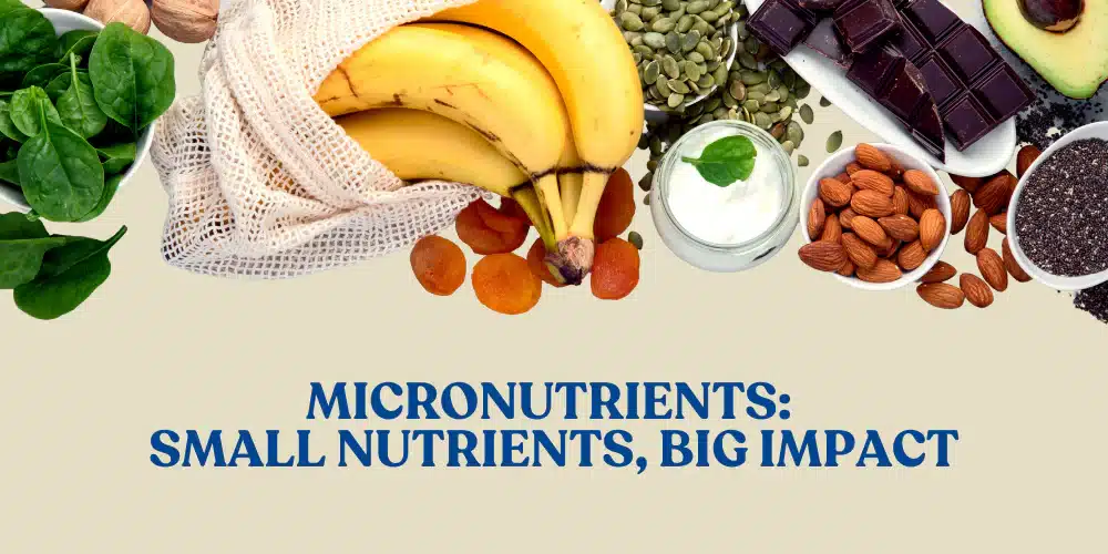 Micronutrients: The Tiny Nutrients With Enormous Health Impact ...