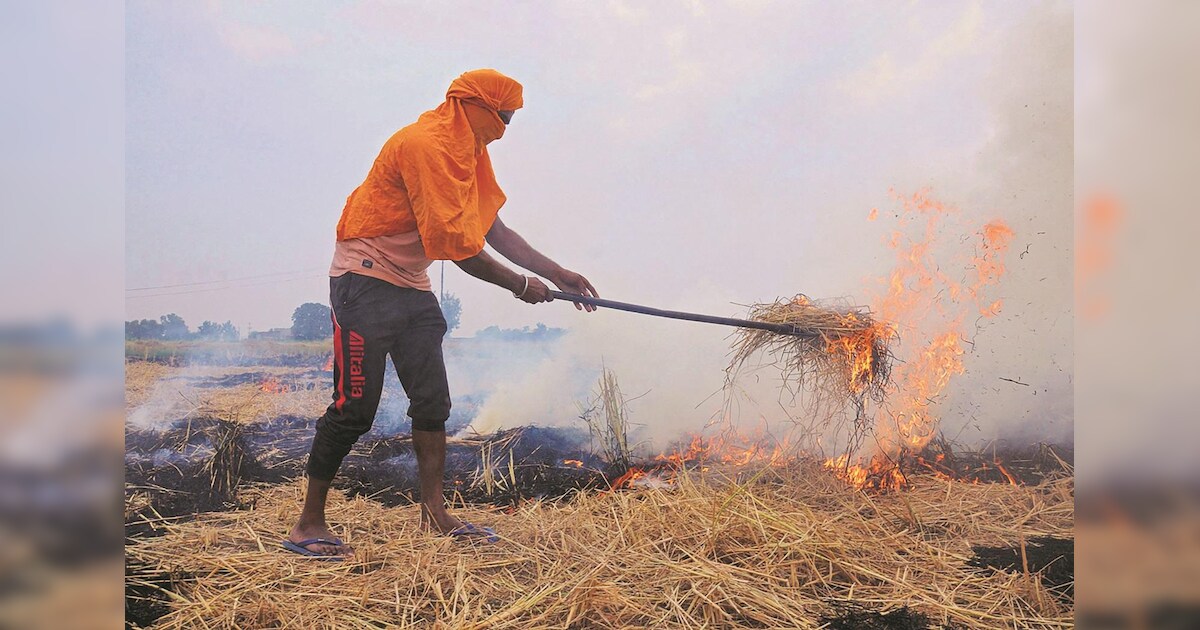 New Measures Aim to Curb Wheat Stubble Burning in Northern States ...