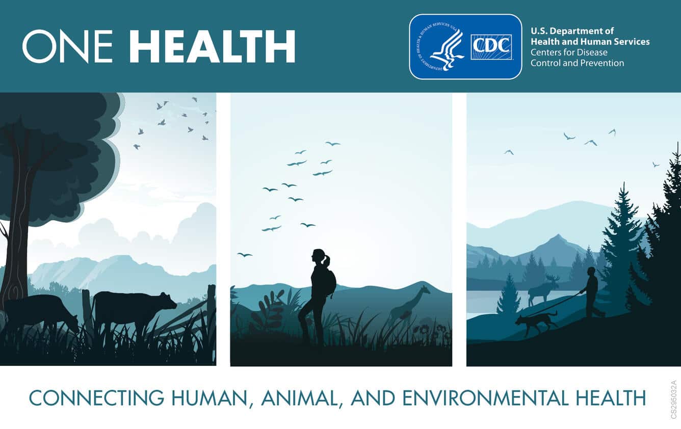 One Health: Connecting Human, Animal, and Environmental Health ...