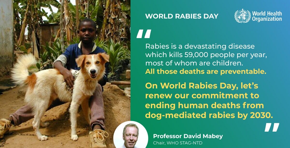 Rabies: The Preventable Disease That Kills 59,000 People Yearly ...