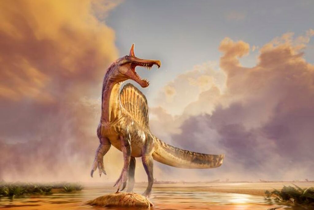 New Spinosaurus Species Unearthed in Sahara Desert